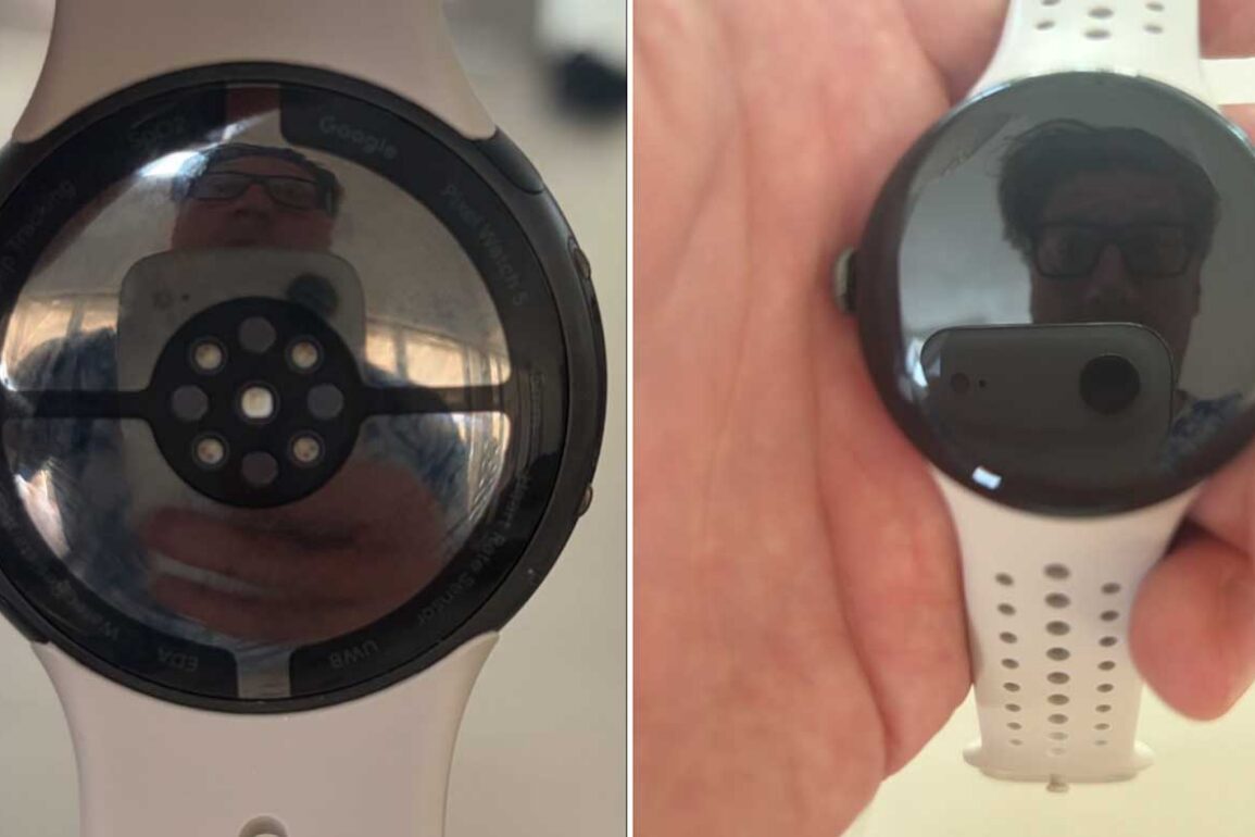 The Google Pixel Watch 5 Was Seemingly Just Leaked By Borderlands ...